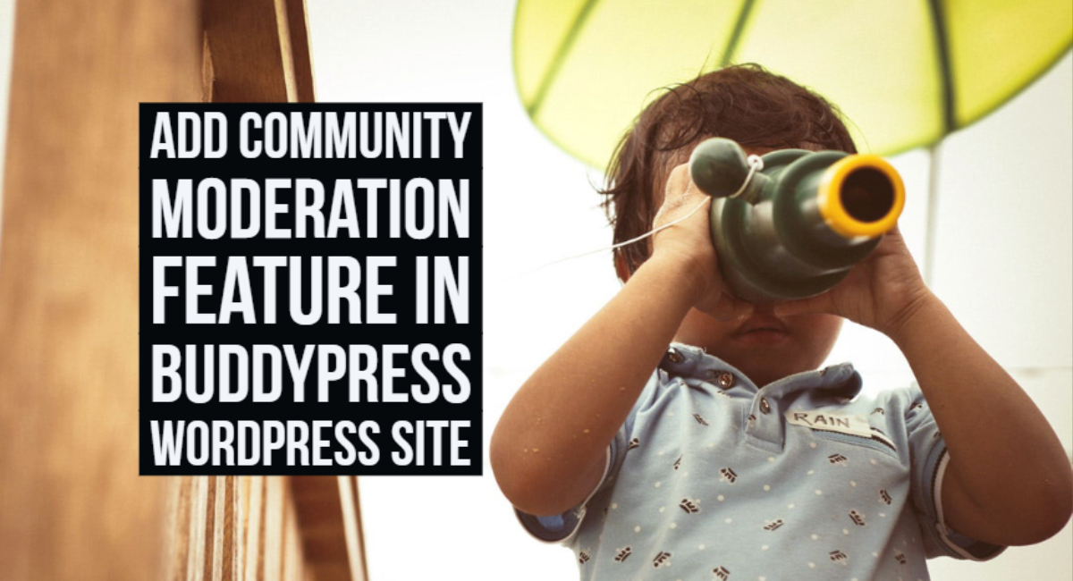 Add Community Moderation Feature BuddyPress Powered WordPress Site
