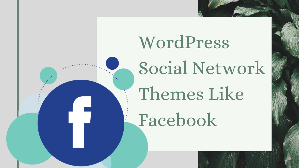 WordPress Social Network Theme Like Facebook - Wbcom Designs