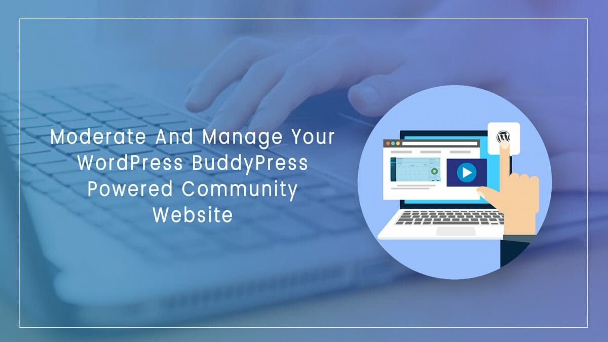 Moderate Your WordPress BuddyPress Powered Community Website