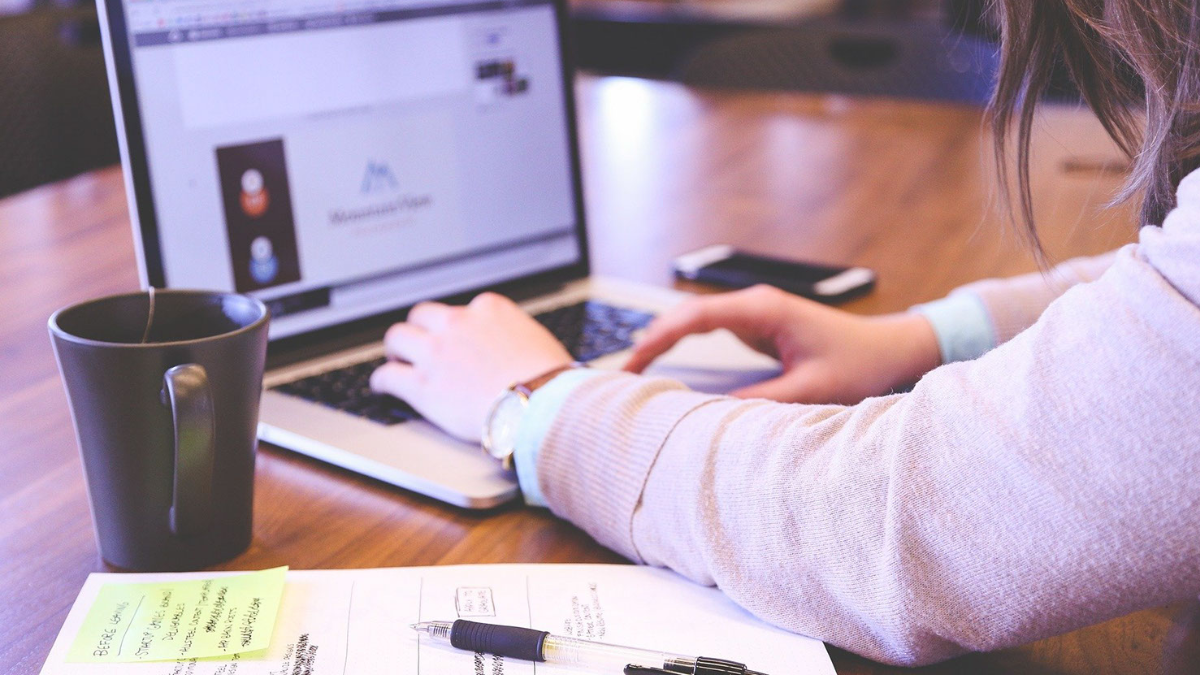 Basic Elements To Build A Perfect Course - Wbcom Designs