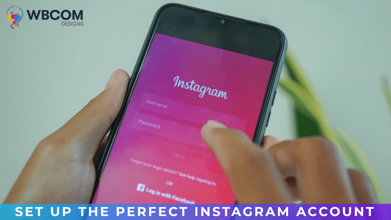 How to Set up the Perfect Instagram account - Wbcom Designs