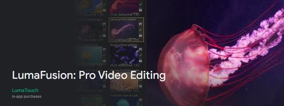 10 Best Software for Cinematic Video Editing in 2025 - Wbcom Designs